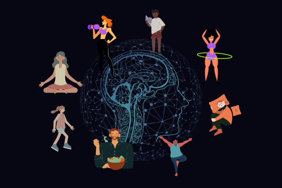 Brain Health — Neurofeedback Training Co.