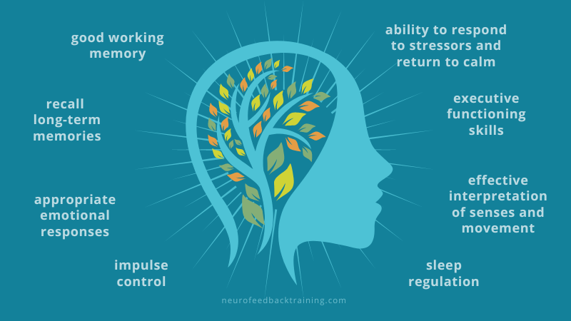 Improve Brain Health Naturally — Neurofeedback Training Co.